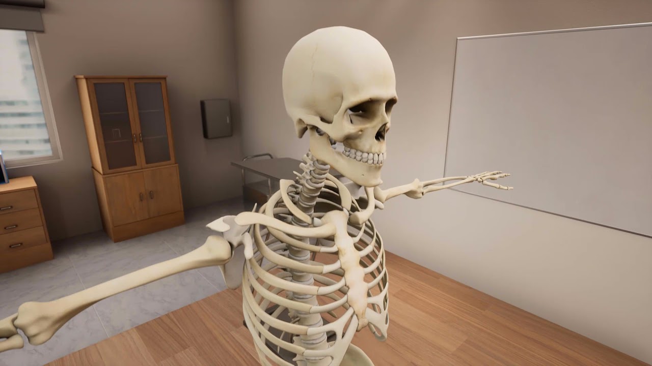 VR Anatomy | Virtual Reality | HTC Vive | Oculus Quest 2 | Unreal ...
