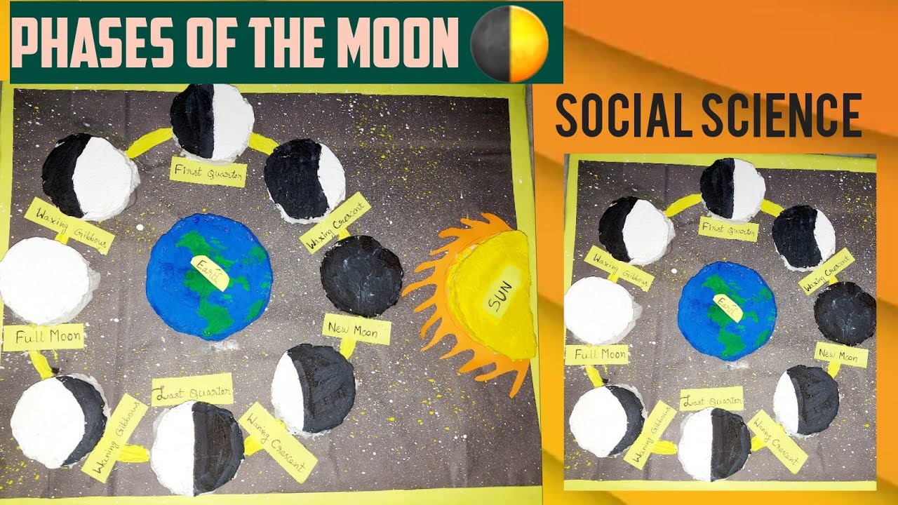 Phases Of The Moon 🌓//Moon phases social science project model for ...
