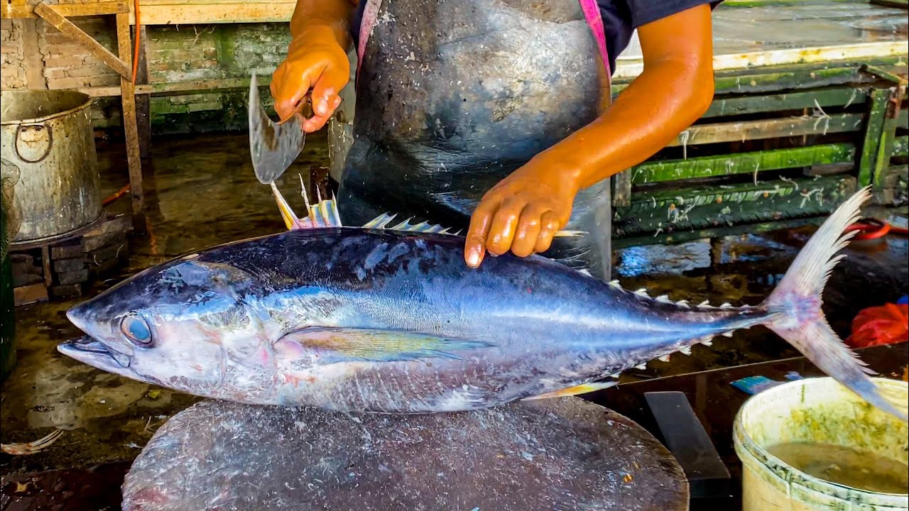 BIG TUNA FISH SLICING BY EXPERT FISH CUTTER || INDONESIA STREET FOOD ...