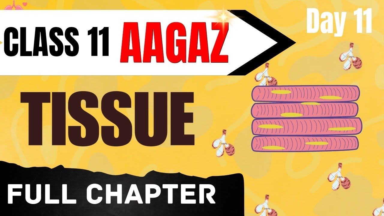 AAGAZ DAY 11| Tissues - Animal & Plant Tissues | Class 9 One-Shot Easiest Lecture | Class 9 ...