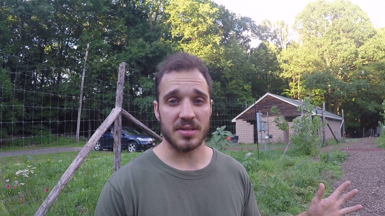 Expert Bio-Architect, Engineer, and Builder Ryan Martens: Part 2 - YouTube
