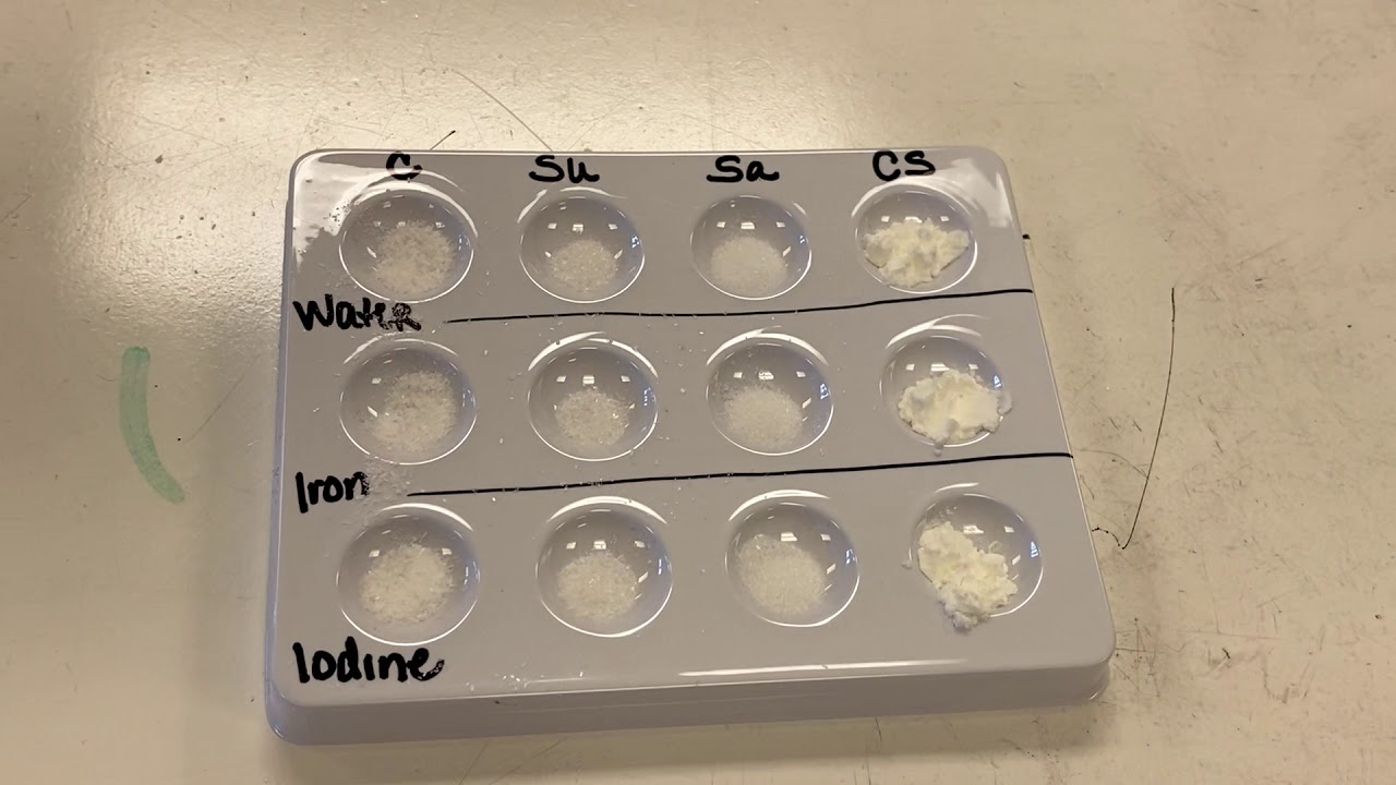 Forensic Chemistry: Drug Detection Lab Activity - YouTube