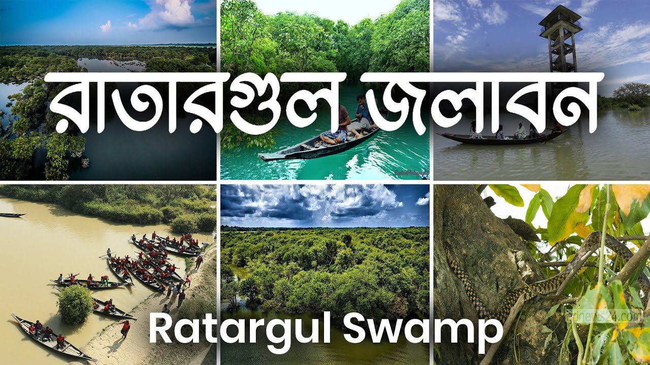 Ratargul Swamp Forest Drone View । রাতারগুল জলাবন। Travel Mind । Sylhet ...