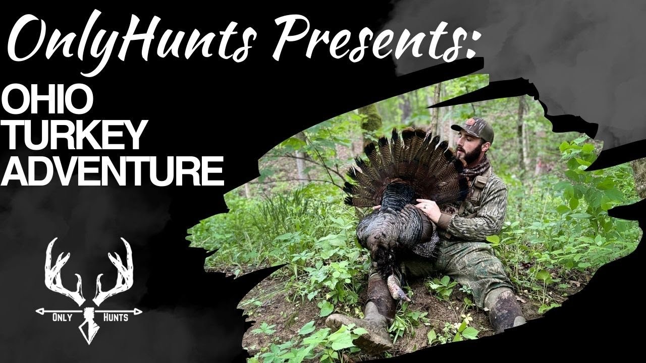 Turkey Hunting Ohio's Wayne National Forest - YouTube
