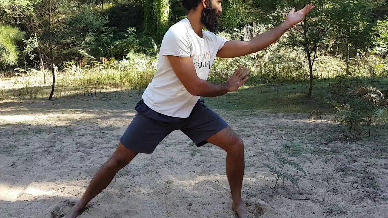 Bagua Snake Exercise, side view - YouTube
