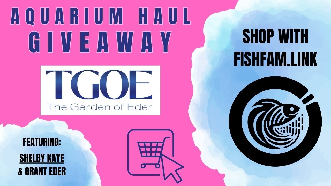 Aquarium Haul and Giveaway: TGOE - YouTube
