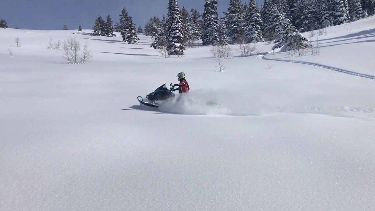 600cc Mountain Sleds in powder - YouTube