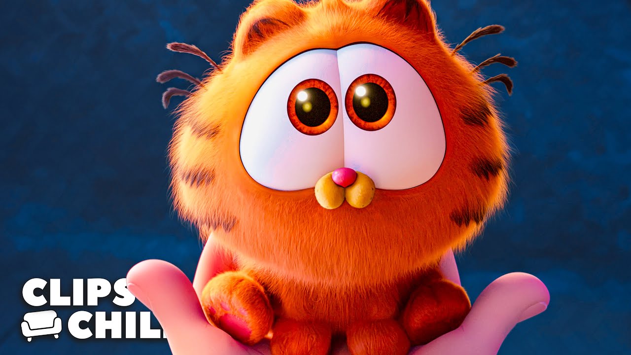 All The Baby Garfield Scenes From The Garfield Movie - YouTube
