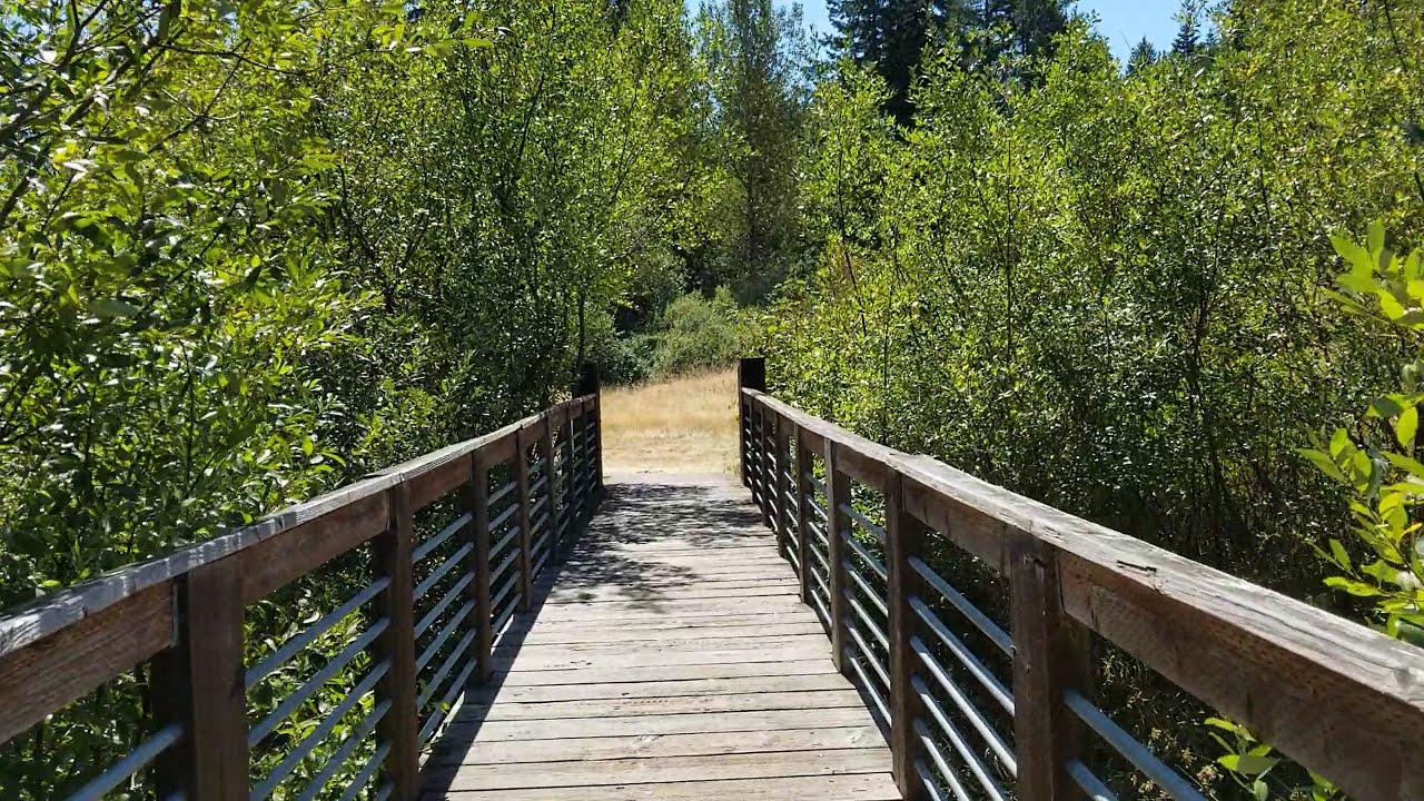 Site seeing at Fern Ridge Dam on a beautiful summer day (OFL 1262 ...
