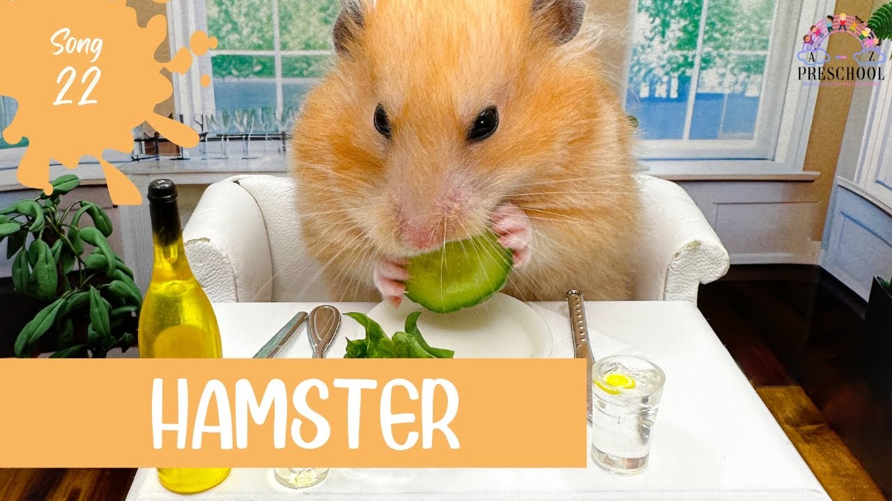 Hamster Harmony: A Song for Hamsters | HAMSTER | Kids Songs | Learning ...