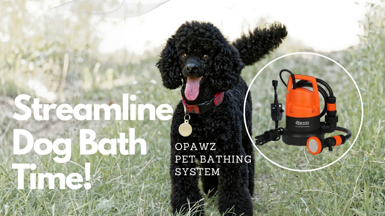 Streamline Dog Bath Time with OPAWZ Pet Bathing System #dog #pets # ...