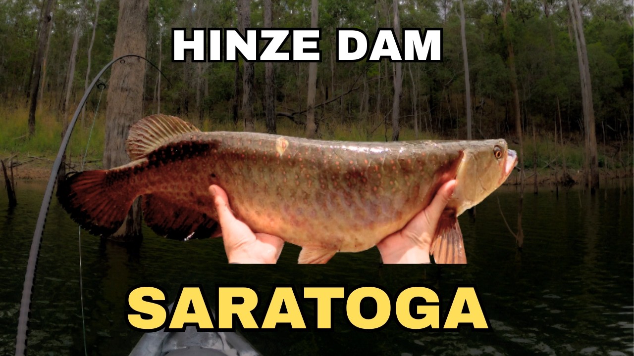 Prehistoric TOPWATER Predators at Hinze Dam - YouTube