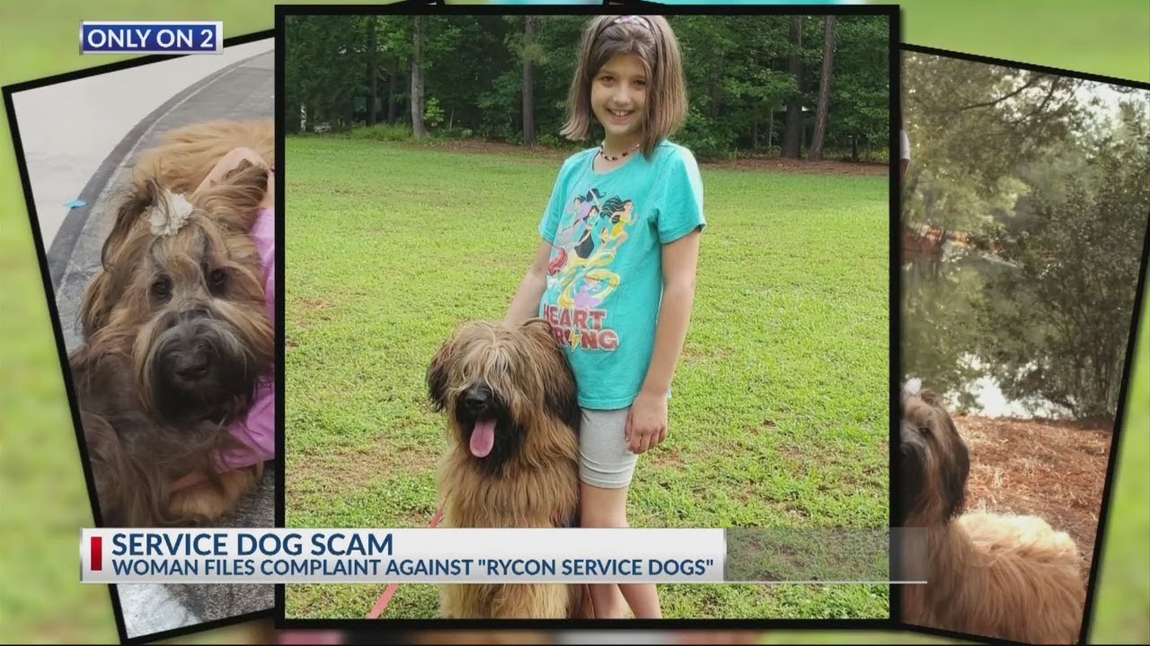 Service Dog Scam - YouTube