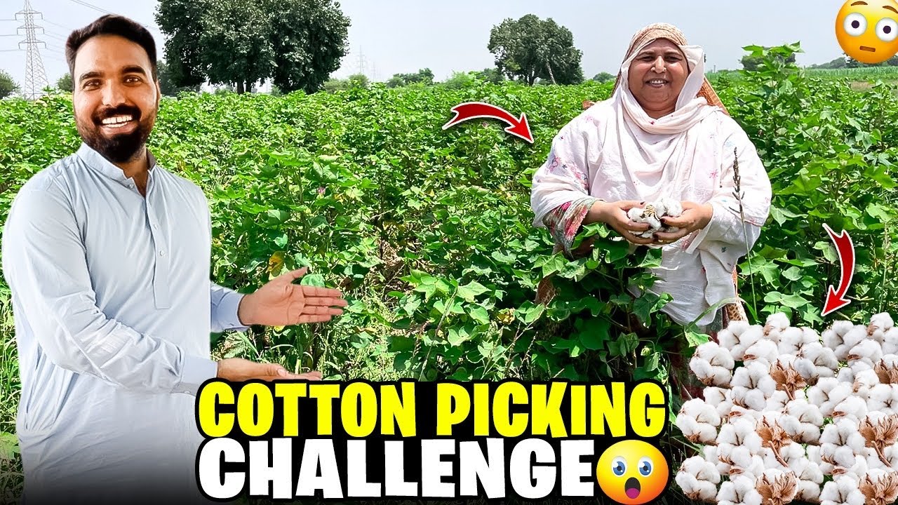 Epic cotton picking challenge with mom 👩 || who is the winner - YouTube