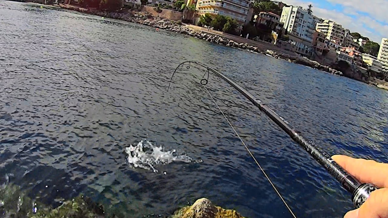 Pesca con caña en el agua... te lo huro hulio! - YouTube