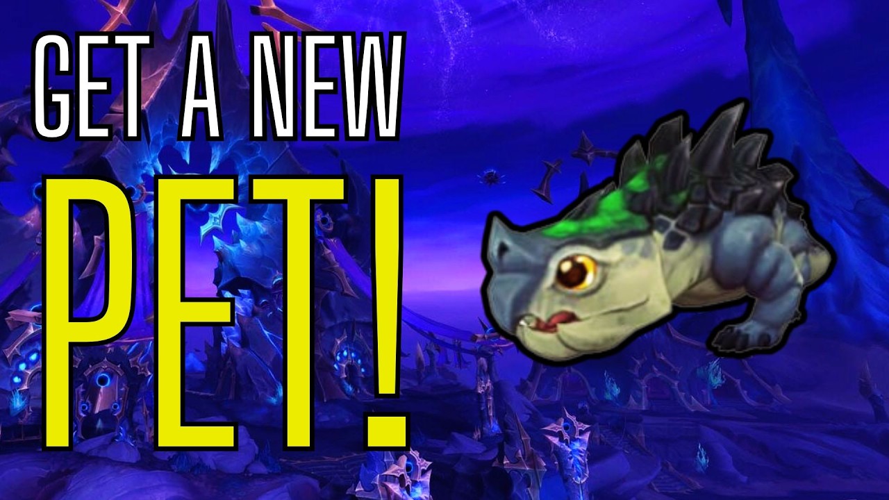 How to Get Bubbly Snapling Pet! 🐢 WoW Midnight Patient Treasure Guide ...