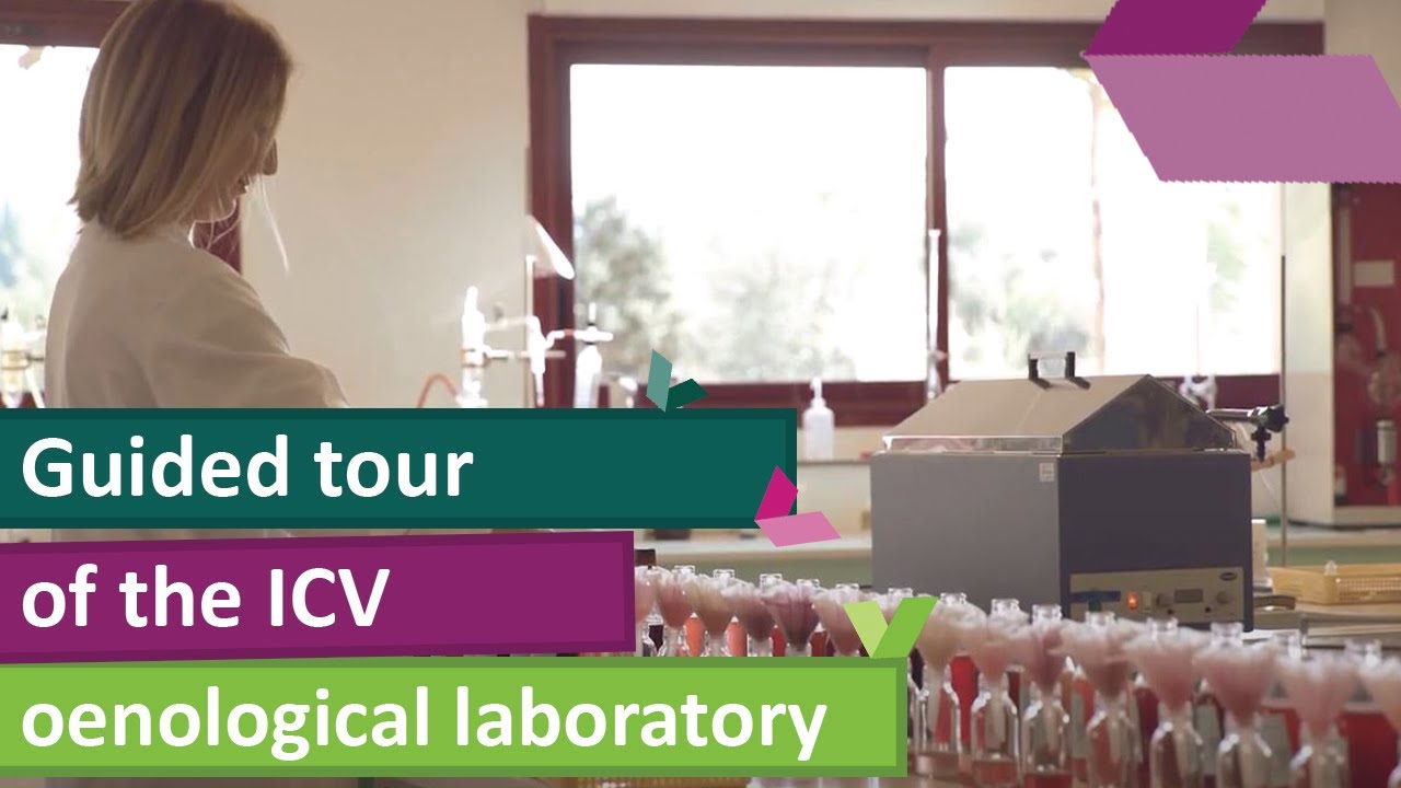 Guided tour of the ICV oenological laboratory in the Rhone Valley - YouTube