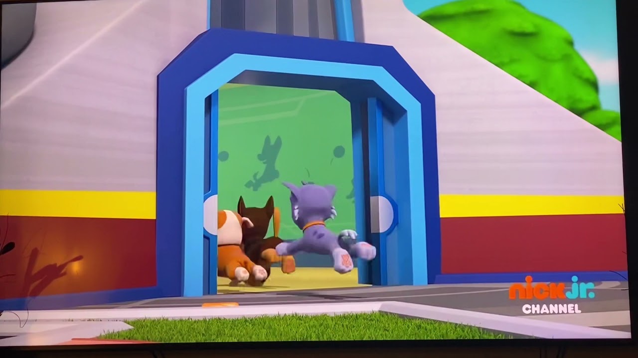Paw patrol marshall mishaps S8 E15 (pups save a show jumper)🐶 - YouTube