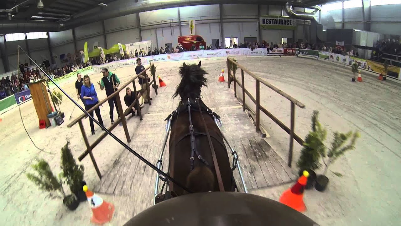 Brynseion Trahern - Lysá nad Labem 2014 - YouTube