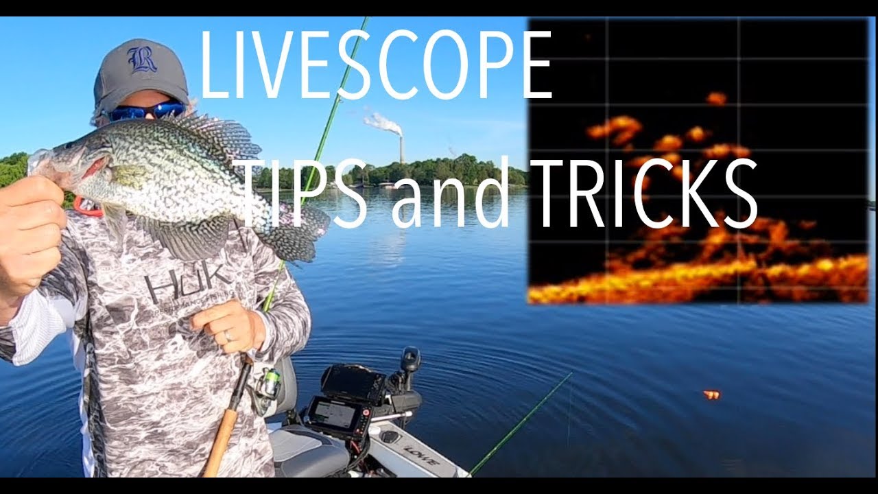 LiveScope Tips And Tricks YouTube livescope-tips-and-tricks-youtube