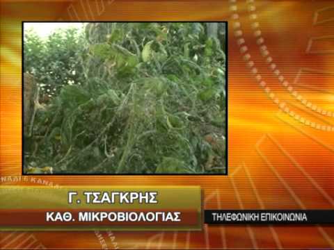 ΛΗΨΗ ΜΕΤΡΩΝ ΠΡΟΣΤΑΣΙΑΣ ΑΠΟ ΤΑ ΚΟΥΝΟΥΠΙΑ ΣΥΝΙΣΤΟΥΝ ΟΙ ΕΙΔΙΚΟΙ - YouTube
