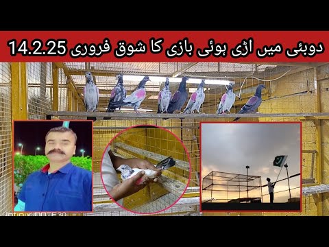 UAE me urai hui kal ki Bazi ishfaq Bhai ny Dubai ki Bazi ka shoq krwaya ...