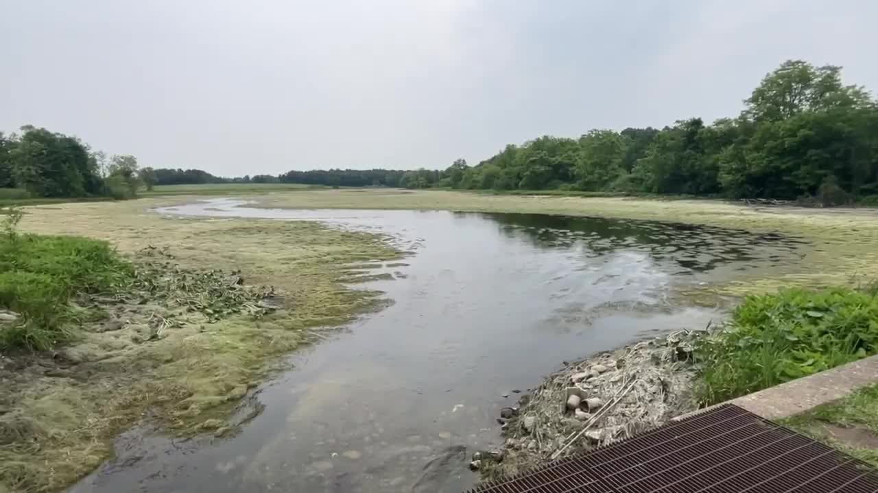 Concord Mill Pond down the drain? - YouTube