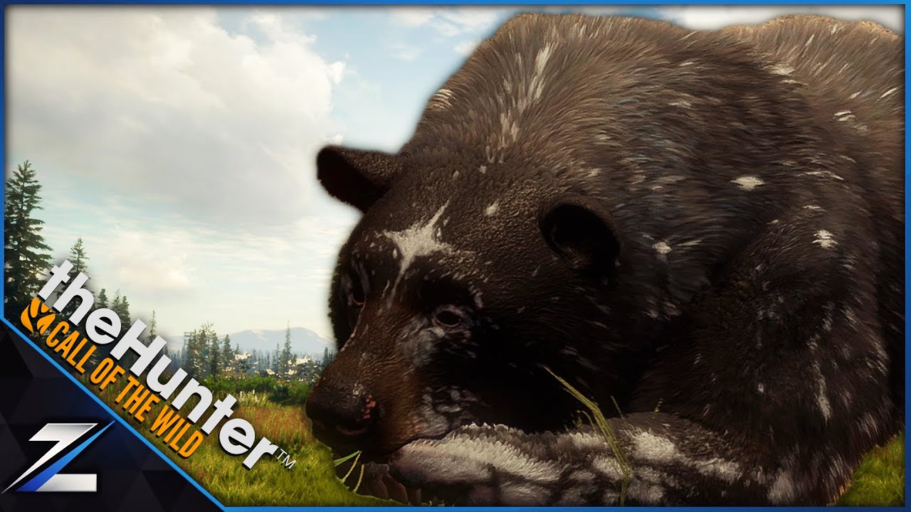 Most Effective Way To Grind Black Bears for Your Great One - YouTube
