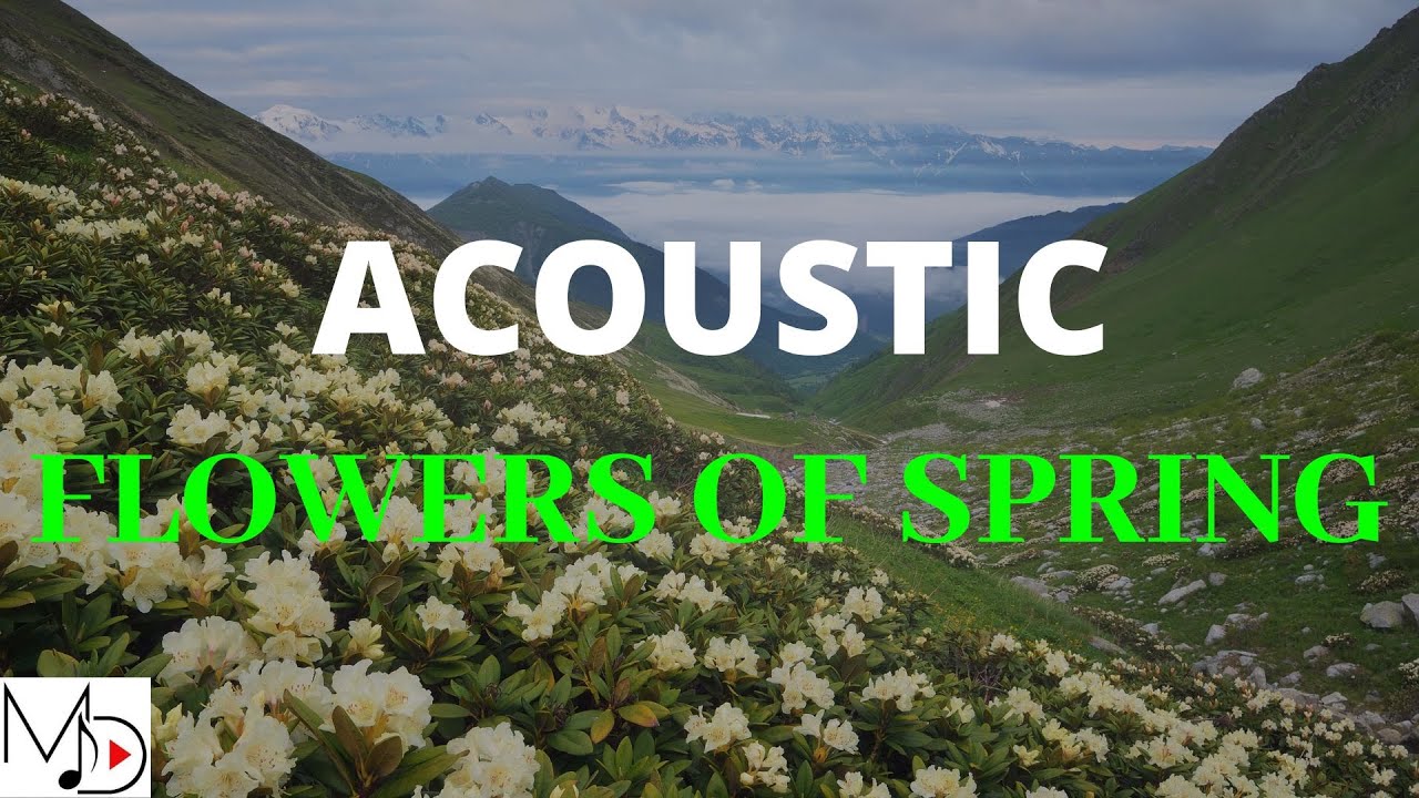 Acoustic Background Music | Flowers Of Spring | MDStockSound - YouTube