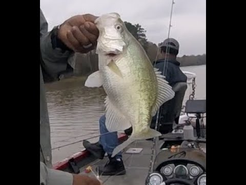 Locating Nice Crappie In Open Water On Lake Houston On Hooked Up ...