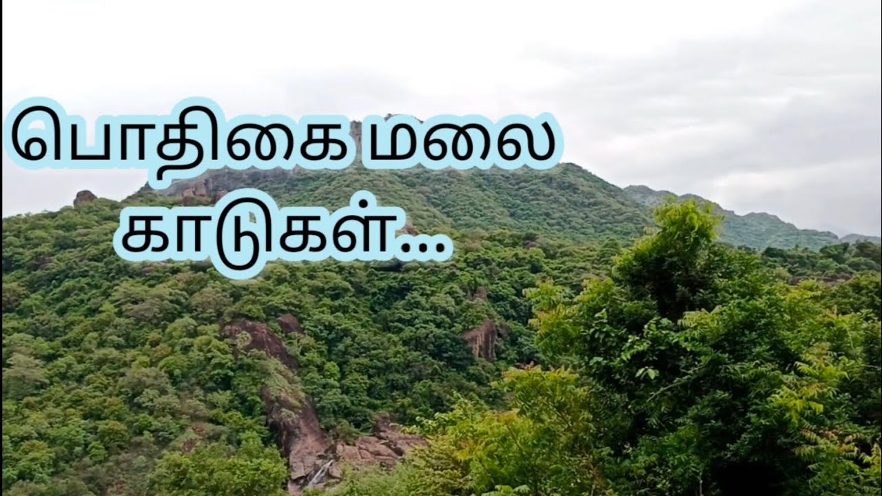 Pothigai Hills forest | பொதிகை மலை காடுகள் ஒரு பயணம். - YouTube