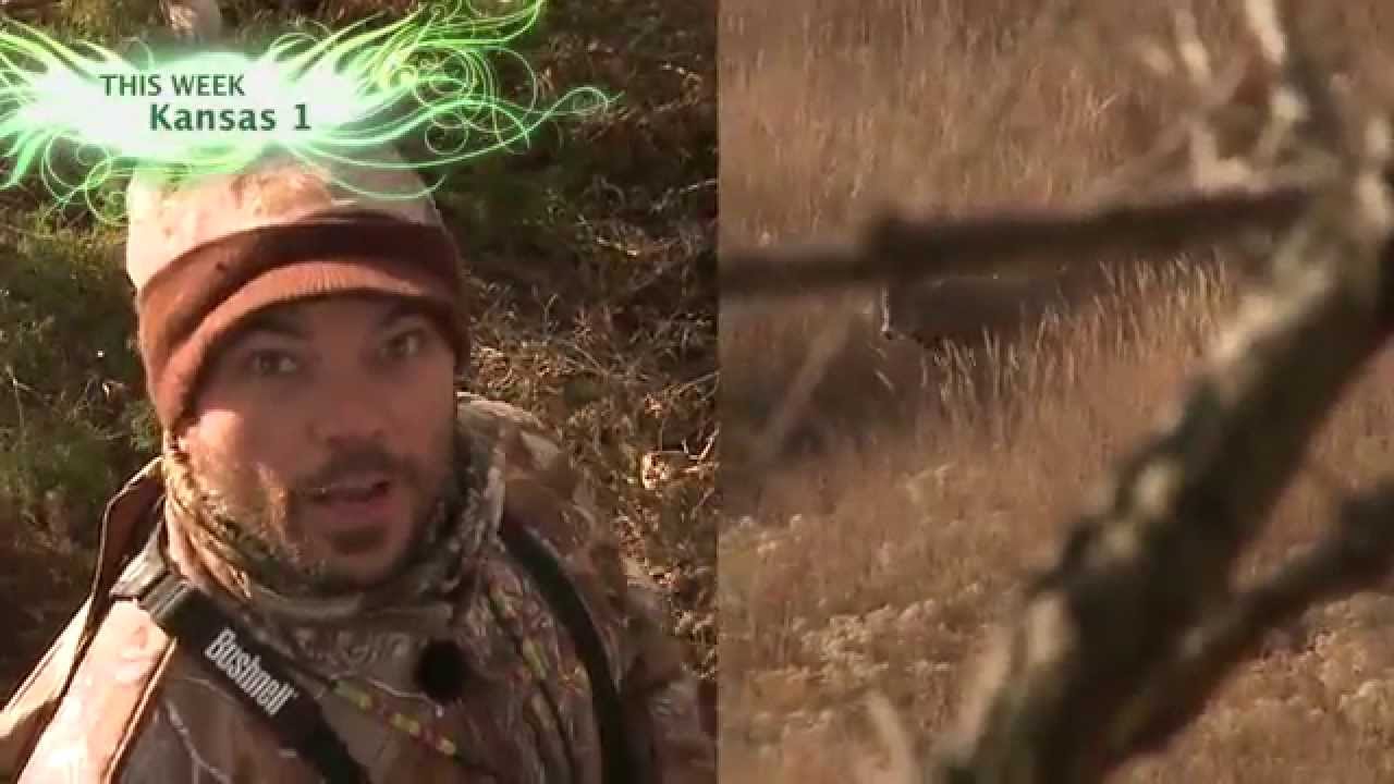 Michael Waddell's Bone Collector (S7) - Kansas Big Whitetail Buck and ...