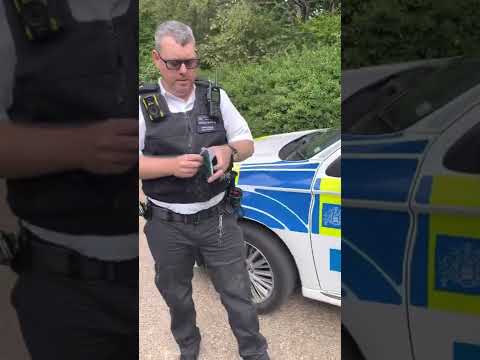 Dog walking in the park more higher priority to the Police than real ...