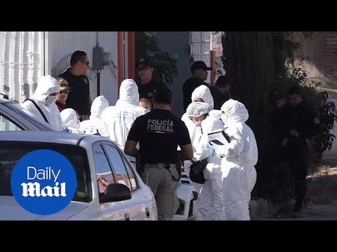 Mexican police say missing film students were dissolved in acid - Daily ...