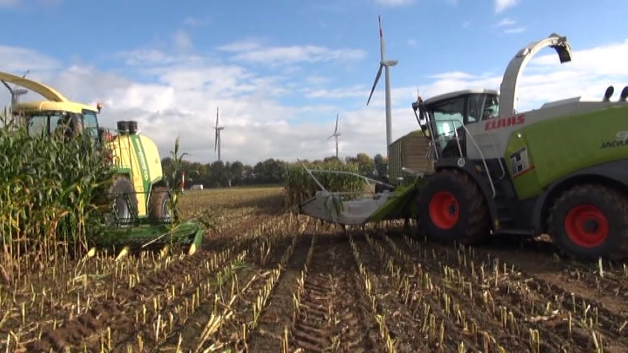 Maïs 2012 | Nieuwe Claas 980 en Krone 850 op hetzelfde perceel | Maïs ...
