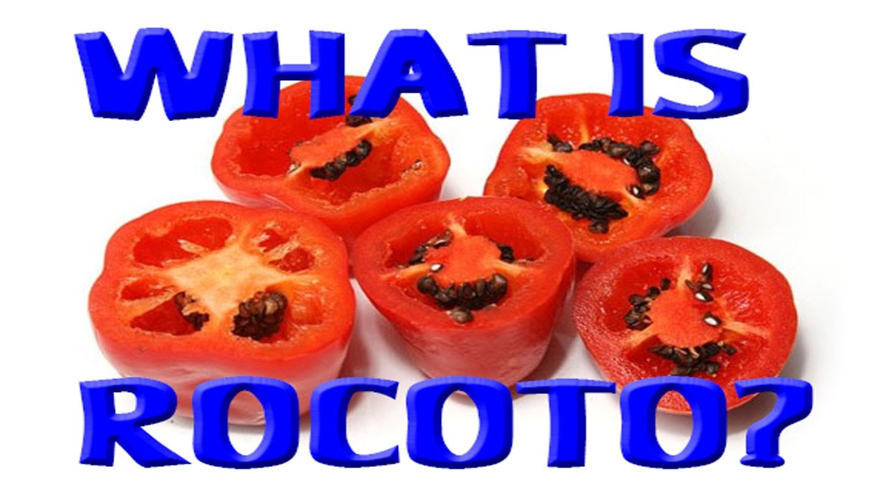 What is Rocoto? - YouTube