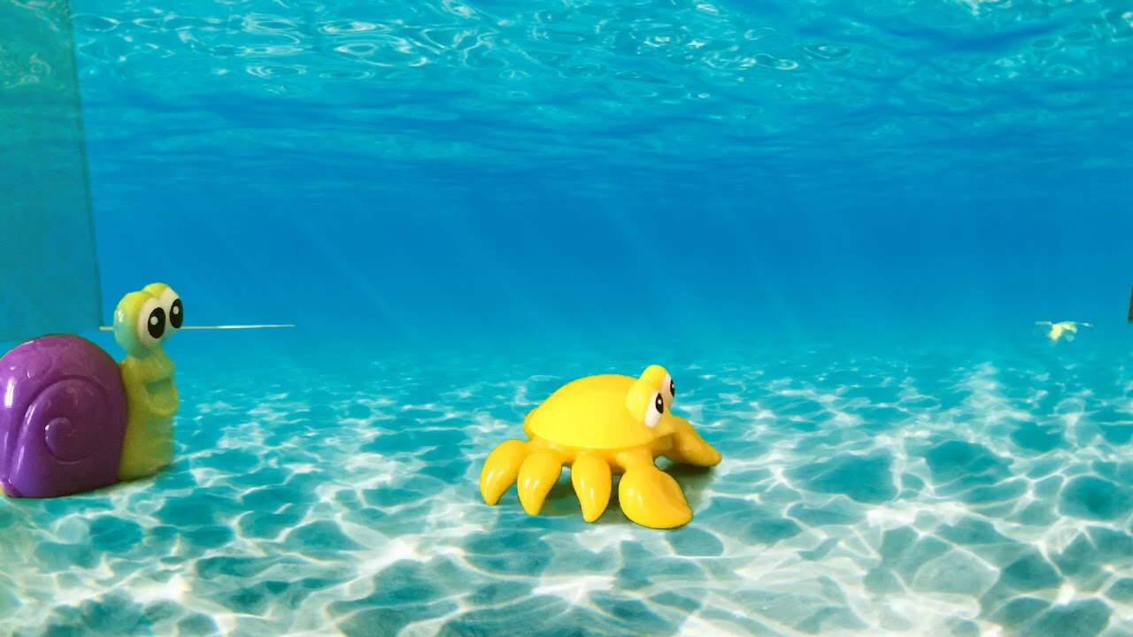 Crab versus snail. Nothing like Paw Patrol - YouTube