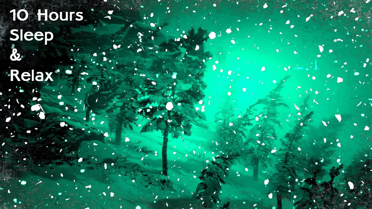 How to Sleep Easily During a Winter Snowstorm with Relaxing Forest ...