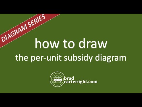 What is the Per-Unit Subsidy Diagram? | Explained | IB Economics | IB ...