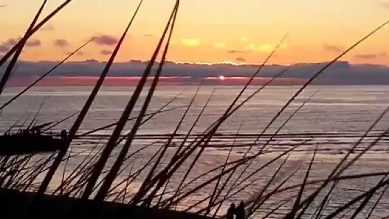 Gyvenimas yra gražus.. - YouTube