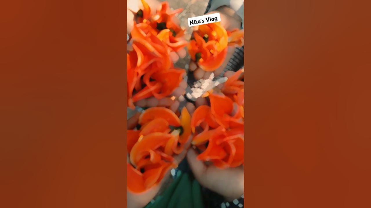 Nitu's Vlog #shorts #shortvideo - YouTube