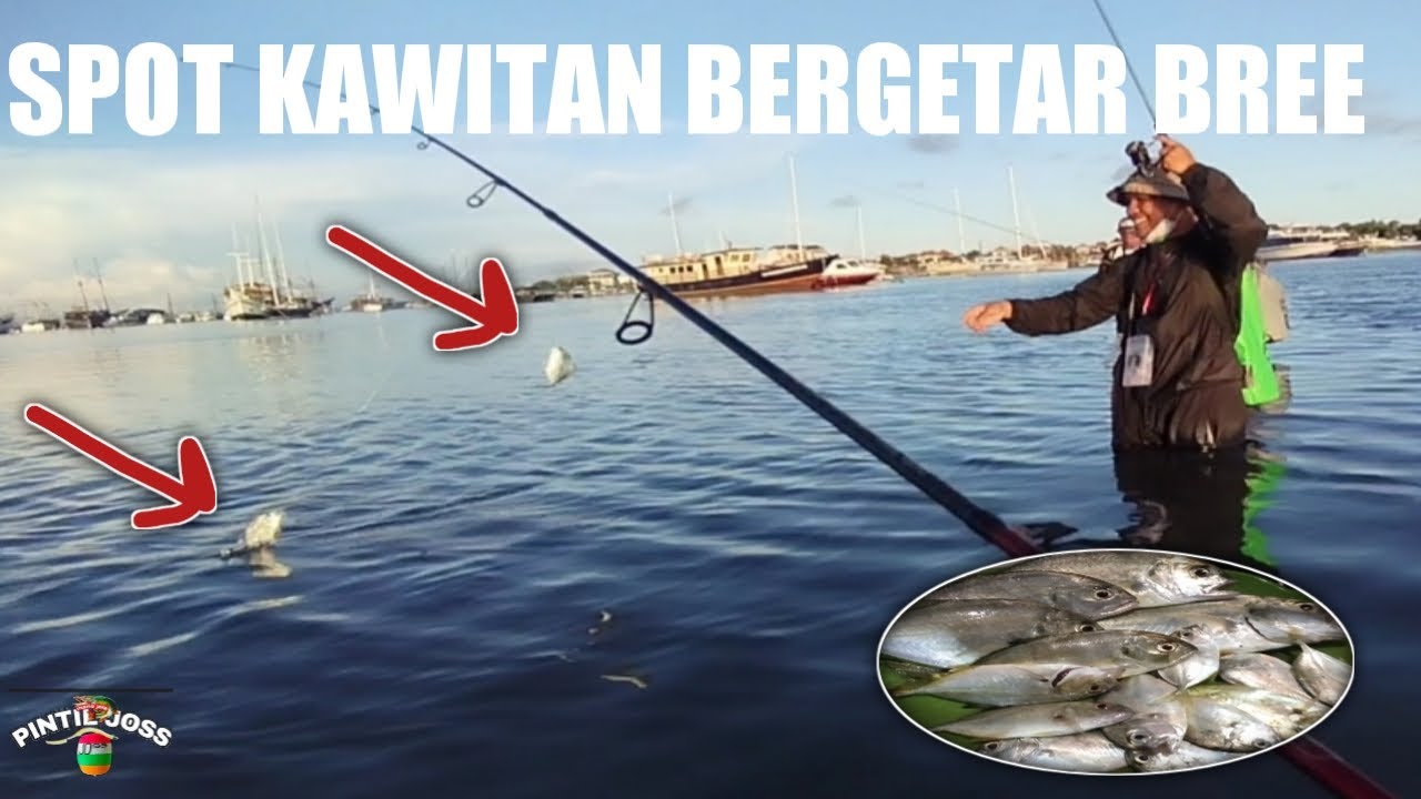 Spot mancing pinggiran di Bali // mancing baby GT depan dermaga ...