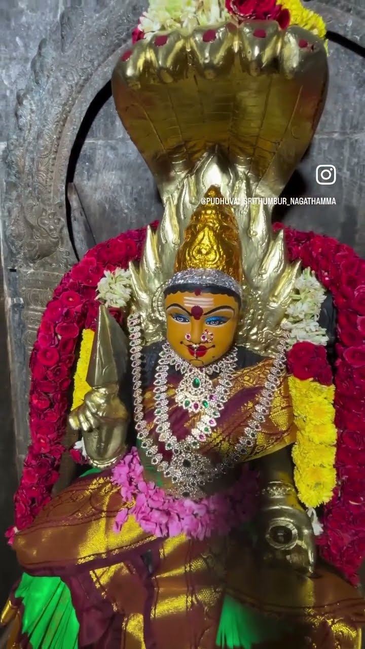 16 August 2024 - YouTube