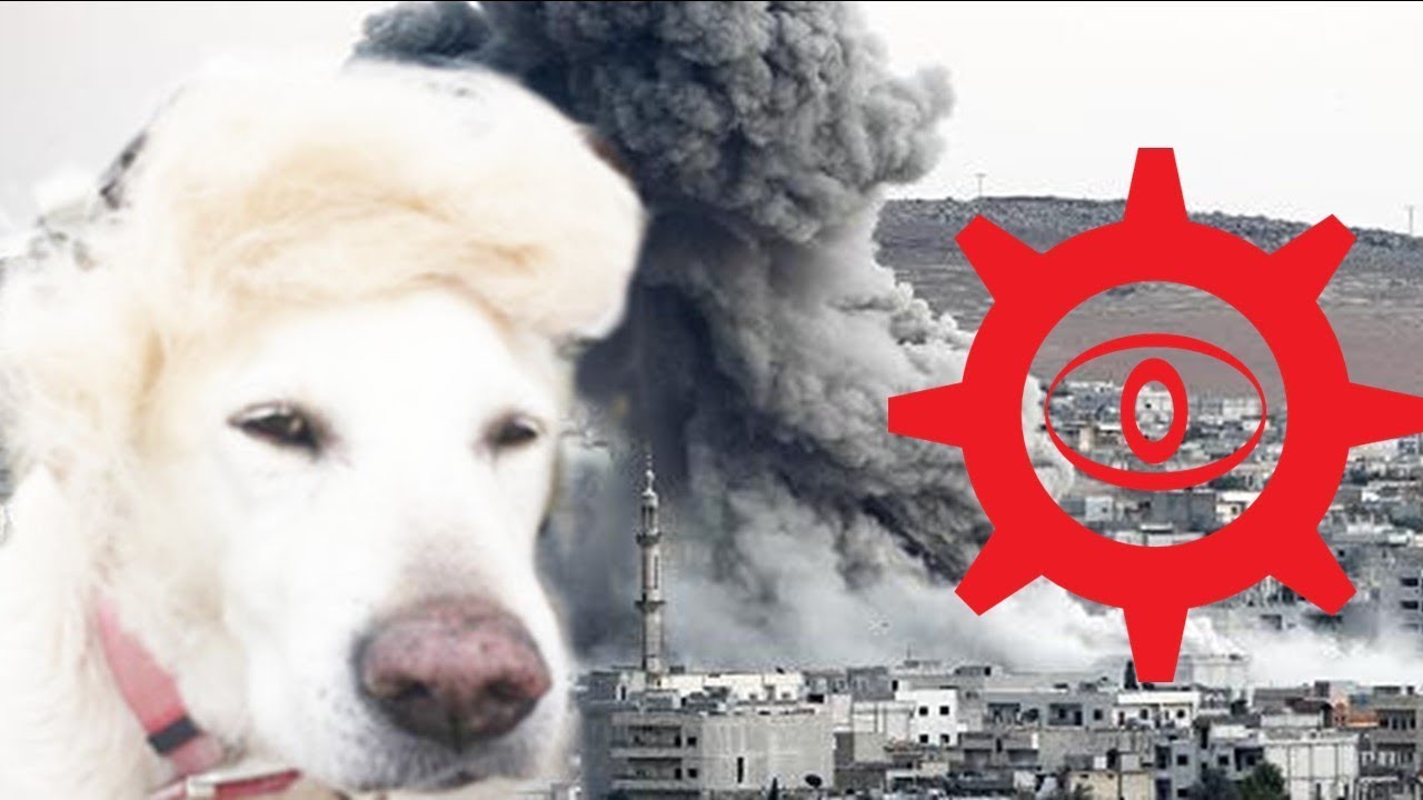 Wagging The Dog: Chomsky on Why Trump Would Launch Attacks Syria - YouTube