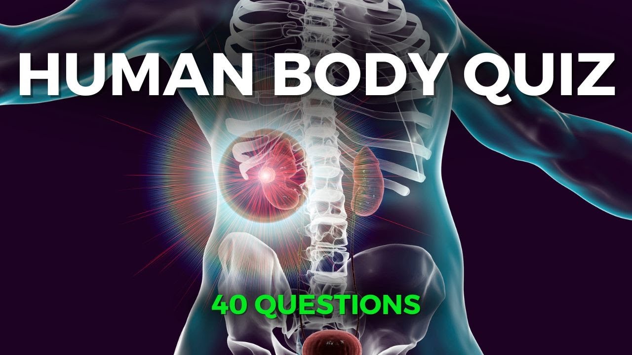 MedQuiz: 30 General Questions for Medical Enthusiasts - YouTube