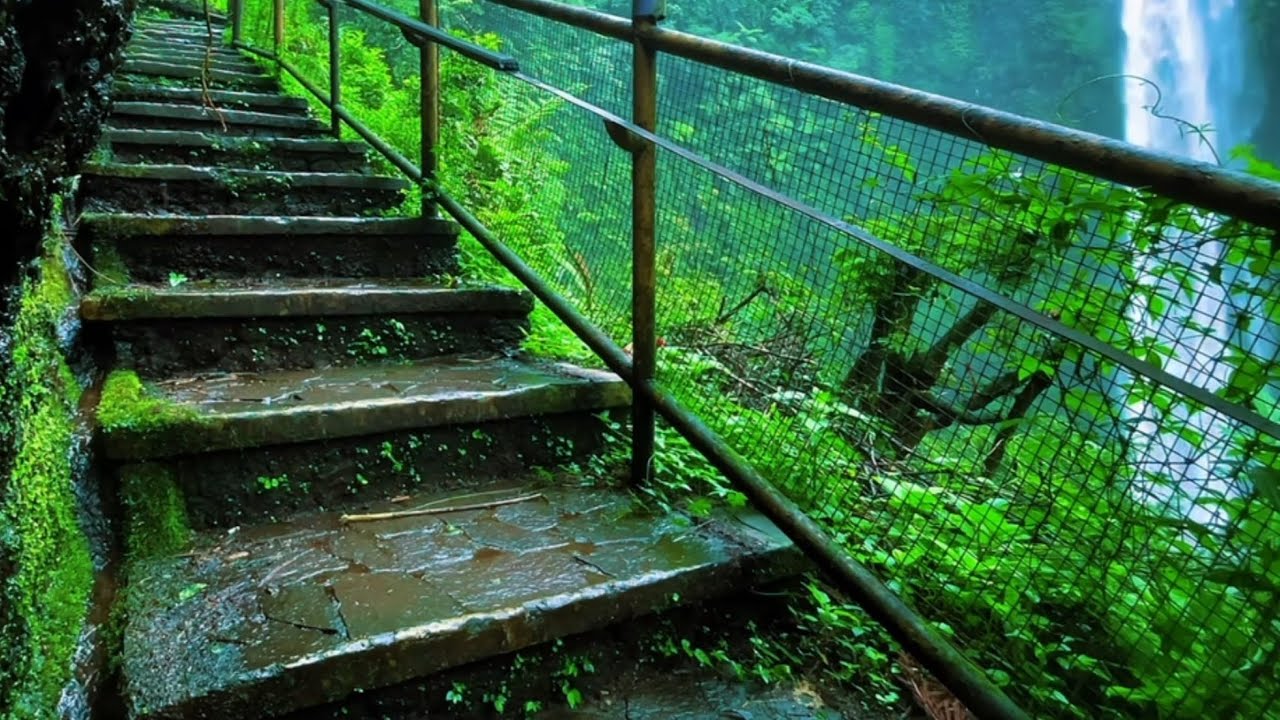 Magical Nature Sounds: Trickling Water, Gentle Stream, and Forest ...