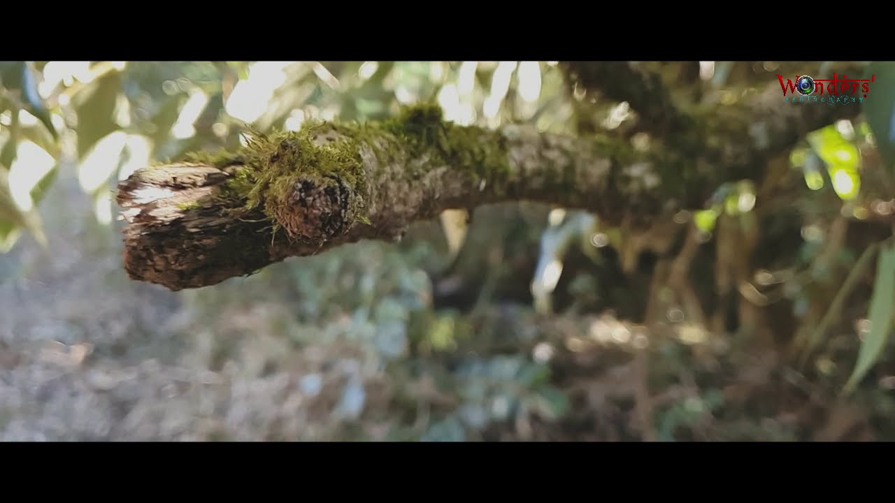 Mawten : The Land of Streams and Undulating Hills | Exploring Mawten II ...