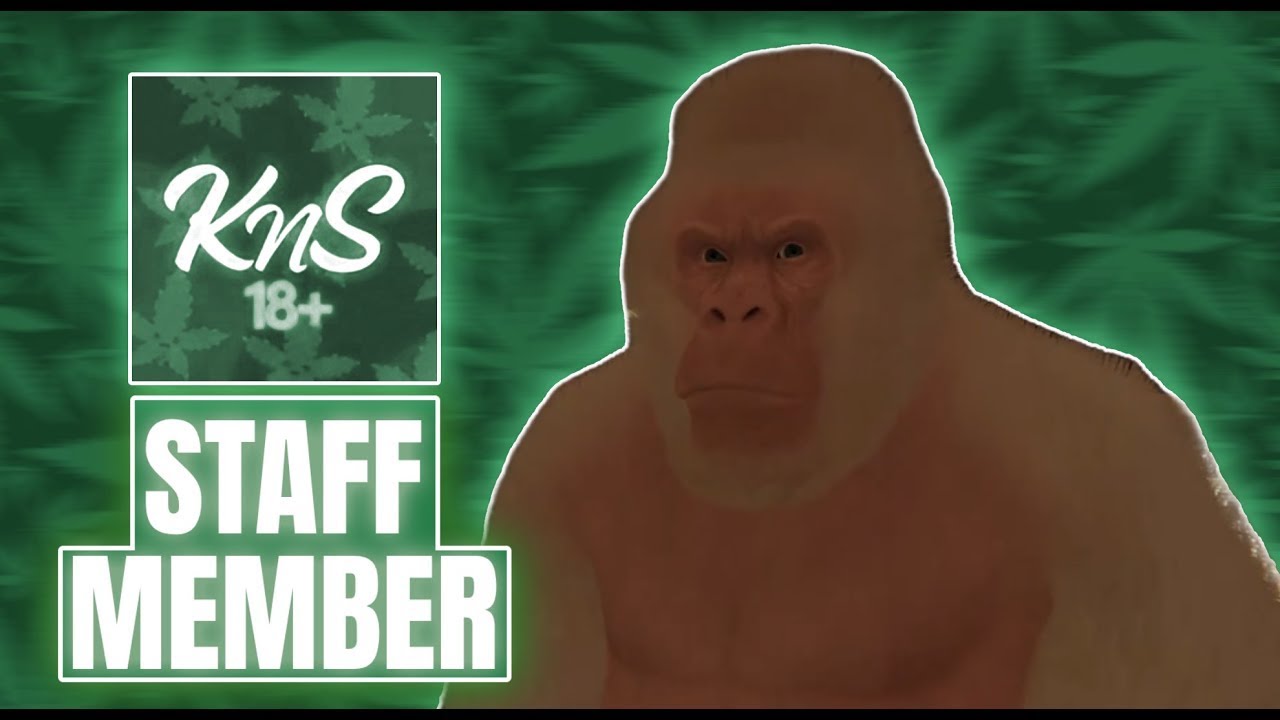 VRCHAT KNS Staff Member "Poof" Interview with UrghBla - YouTube