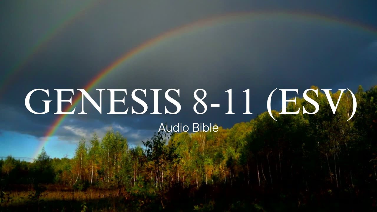 Genesis 8-11 (ESV) | Audio Bible with written text | Bible in a Year ...