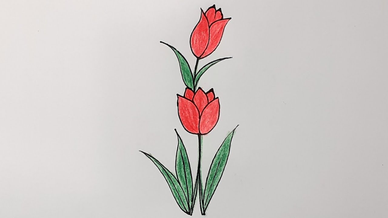 Color Art |Easy Drawing | Color Flower Drawing | Flower Drawing ...